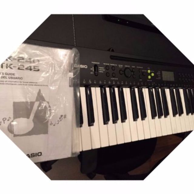 Casio CTK 245 Electronic Keyboard, Hobbies & Toys, Music & Media ...
