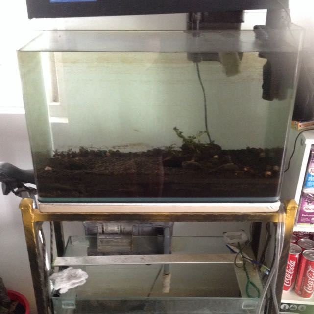 2ft Fish Tanks With Rack And Pump., Furniture & Home Living, Gardening ...