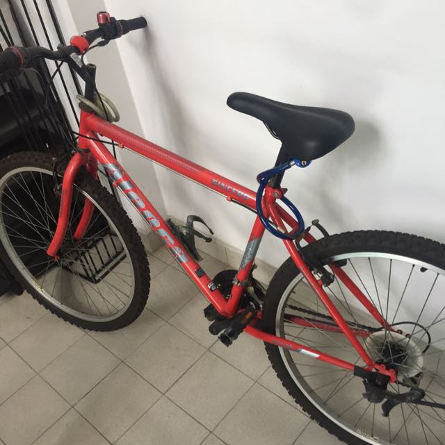 Bicycle, Sports Equipment, Bicycles & Parts, Bicycles on Carousell