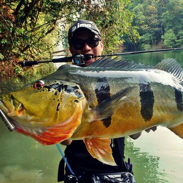 Major Craft Go Emotion Baitcasting Travel Rod, Sports Equipment, Fishing on Carousell