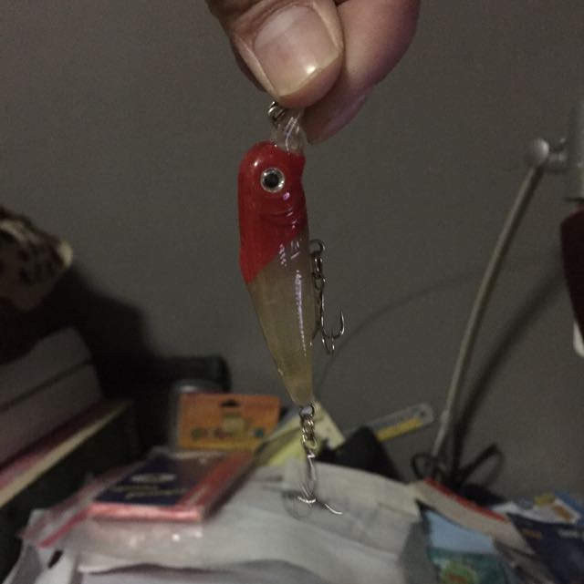 Mid Water Lure, Sports Equipment, Sports & Games, Water Sports on Carousell