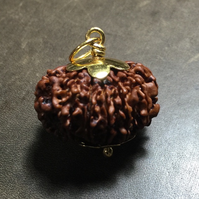 Rudraksha 12 Mukhi/Face with 22k 916 Gold Capping, Hobbies & Toys ...