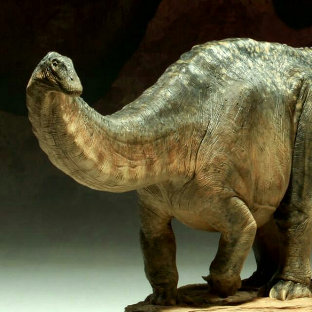 Apatosaurus Ajax, Hobbies & Toys, Toys & Games on Carousell