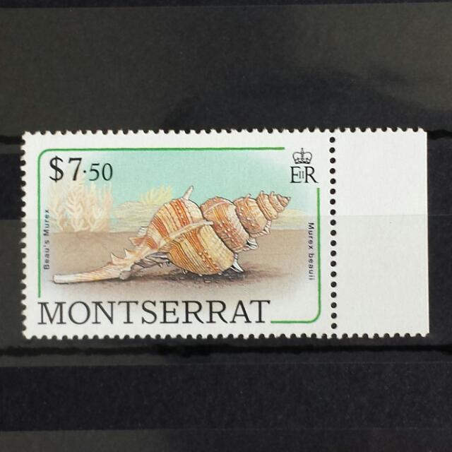 1988 Montserrat Sea shells Postage Stamp Caribbean, Hobbies & Toys ...