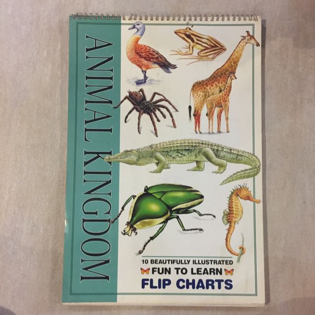 Animal Kingdom (Flip Chart), Hobbies & Toys, Books & Magazines ...
