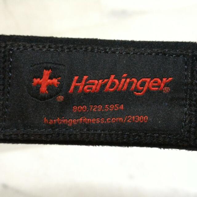 Harbinger Lifting Straps, Sports Equipment, Exercise & Fitness, Toning ...