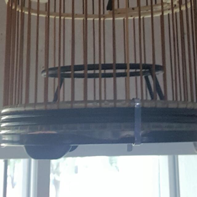 Melacca Cage Arena Buka, Pet Supplies, Homes & Other Pet Accessories on ...