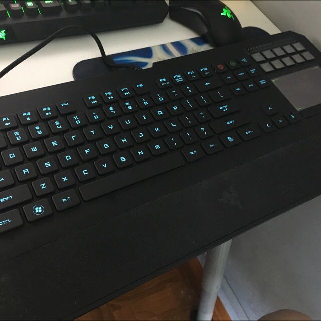 Razer Deathstalker Ultimate, Computers & Tech, Parts & Accessories ...