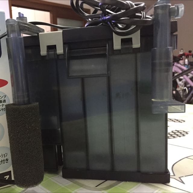 Totto Filter Mini SS, Pet Supplies, Homes & Other Pet Accessories on ...