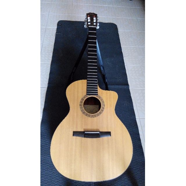 Taylor Guitars NS24ce (Nylon) Grand Auditorium & Cutaway. Made in US ...