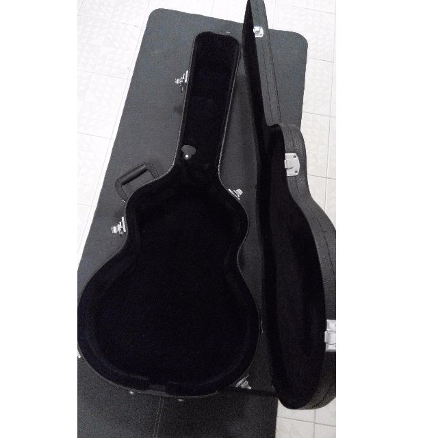 Taylor Guitars NS24ce (Nylon) Grand Auditorium & Cutaway. Made in US ...