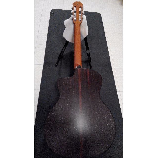 Taylor Guitars NS24ce (Nylon) Grand Auditorium & Cutaway. Made in US ...