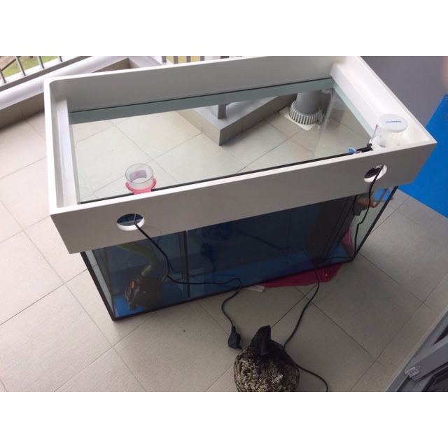 Jireh Reef Aquarium 3 Feet Tank With Sump and hood - Free Accessories ...
