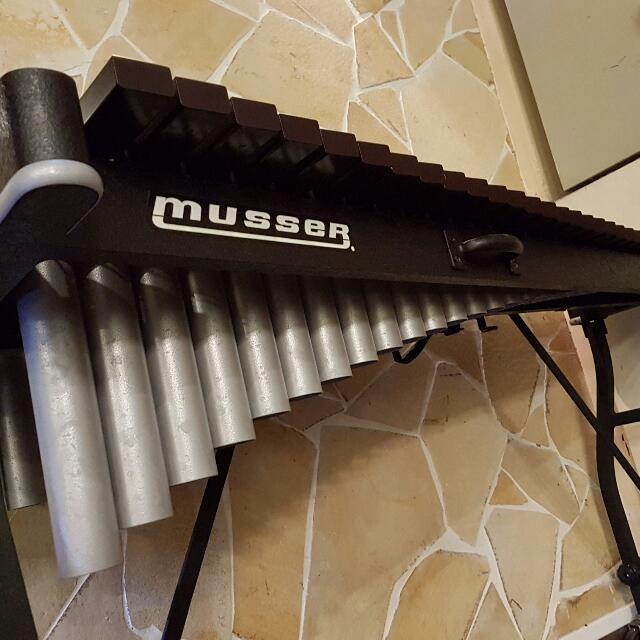 Musser 3.5 Octave Xylophone, Hobbies & Toys, Music & Media, Musical ...