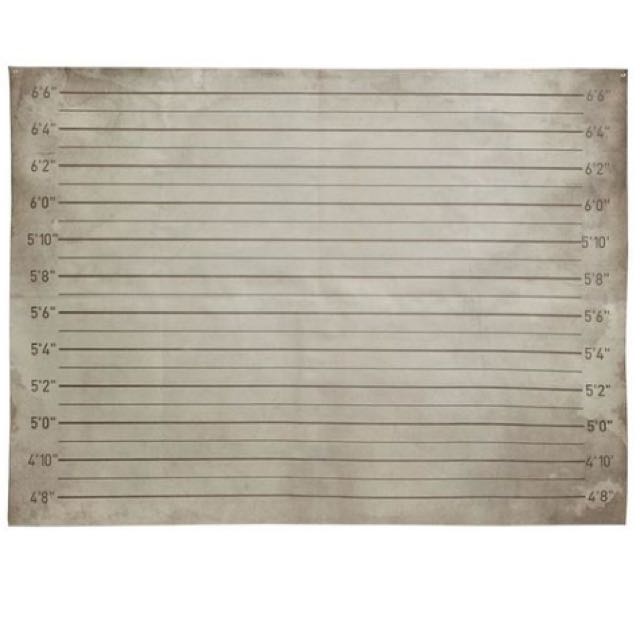 Mugshot Backdrop, Photography, Photography Accessories, Lighting ...