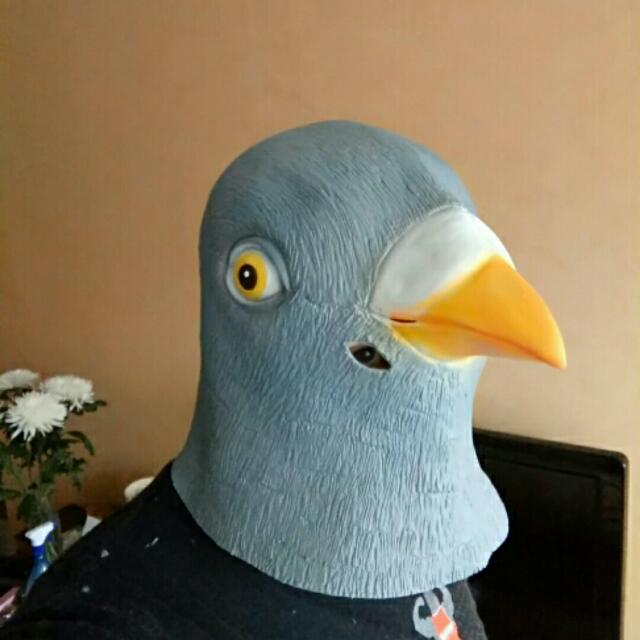 Pigeon Mask, Health & Nutrition, Face Masks & Face Shields on Carousell