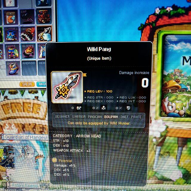 Maplestory Aquila meister (maplesea), Video Gaming, Video Game Consoles ...