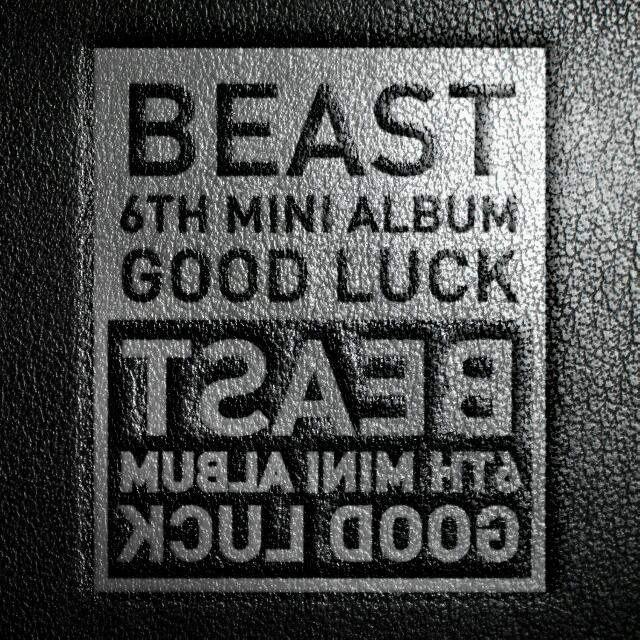 Beast - Good Luck, Hobbies & Toys, Memorabilia & Collectibles, K-Wave ...