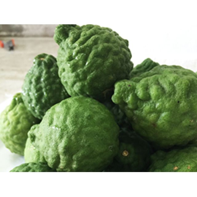 Fresh Thai Lemon, Furniture & Home Living, Gardening, Plants & Seeds on ...