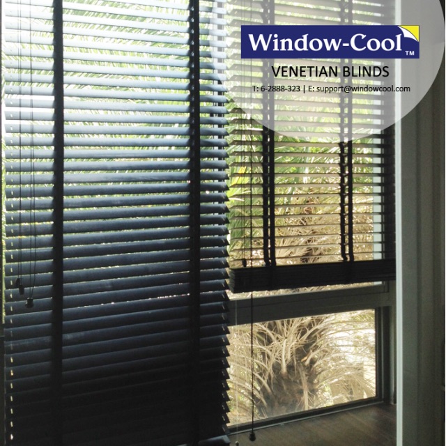 Venetian Blinds - 50mm PVC Type with Ladder Tape, Furniture & Home ...