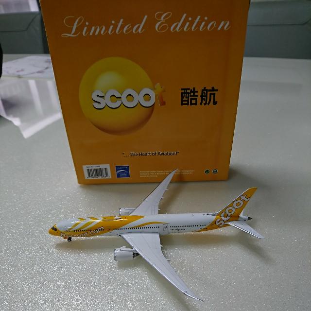 Scoot B787 Model, Hobbies & Toys, Toys & Games on Carousell