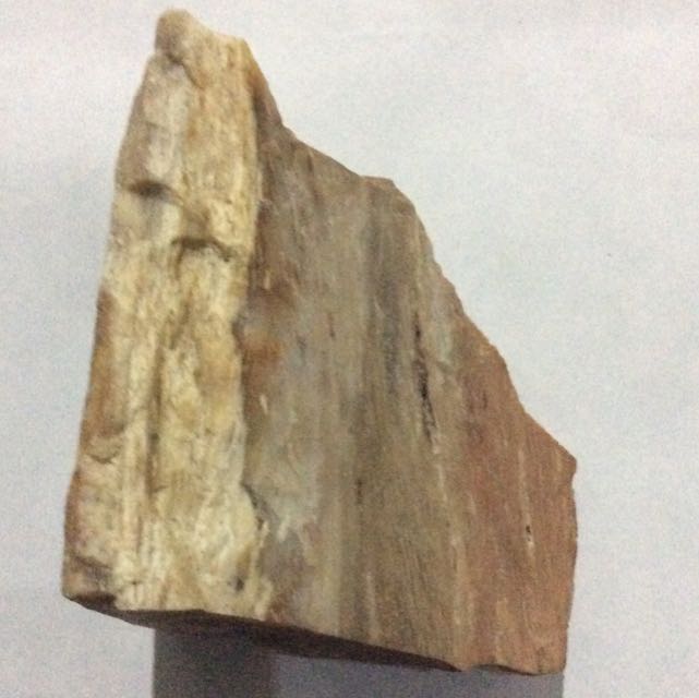 Batu Fosil Kayu Ex. Papua, Antik, Pajangan di Carousell
