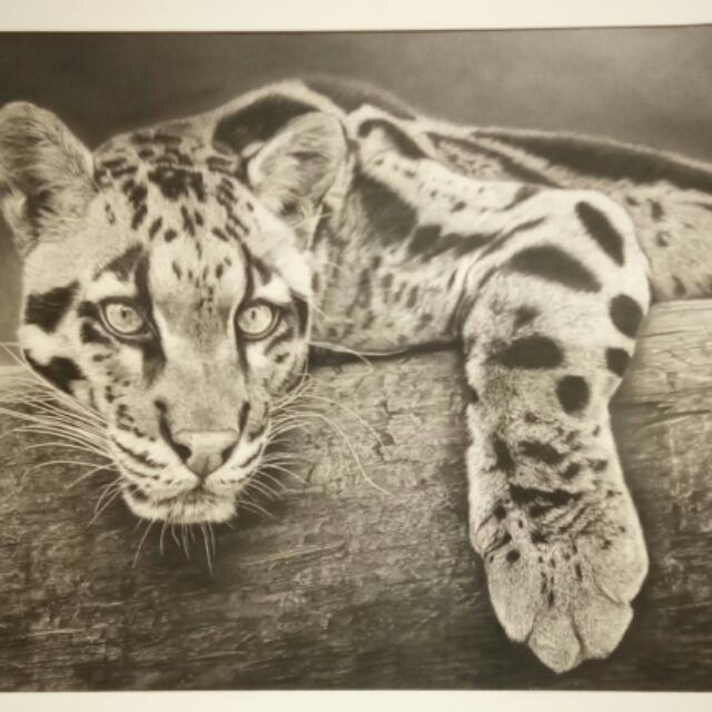 2003 Endangered Species Harimau Dahan / Clouded Leopard Bank Negara ...