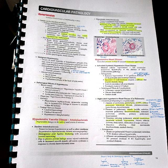 Pathology Seniors Notes, Hobbies & Toys, Books & Magazines, Textbooks ...