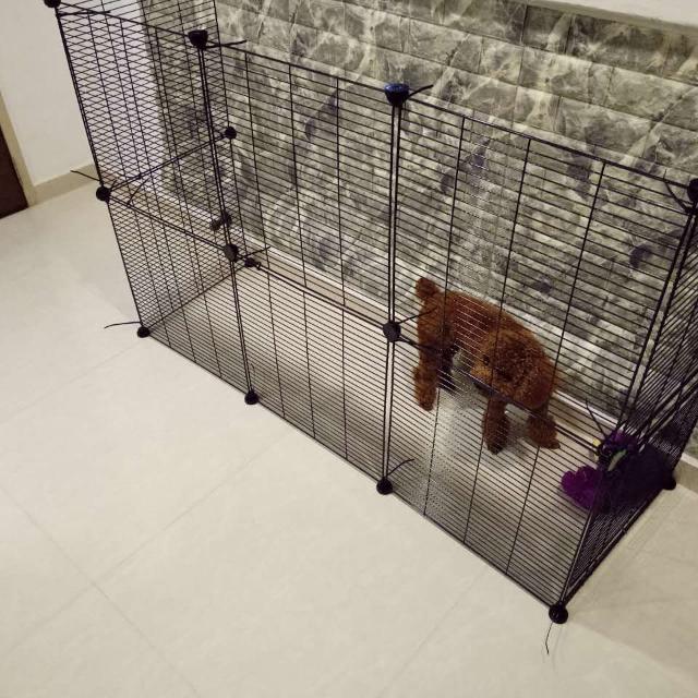 Pet fence, Pet Supplies, Homes & Other Pet Accessories on Carousell