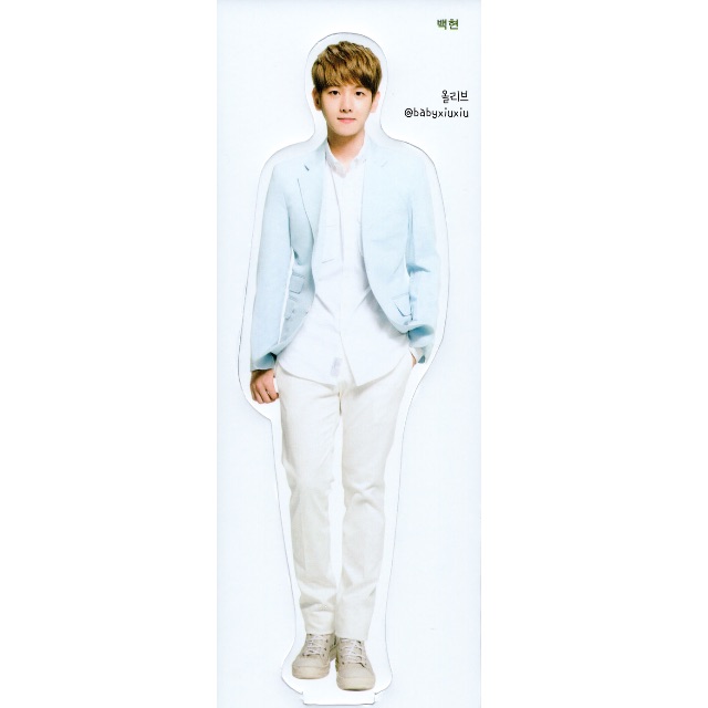 EXO Standees, Hobbies & Toys, Memorabilia & Collectibles, K-Wave on ...
