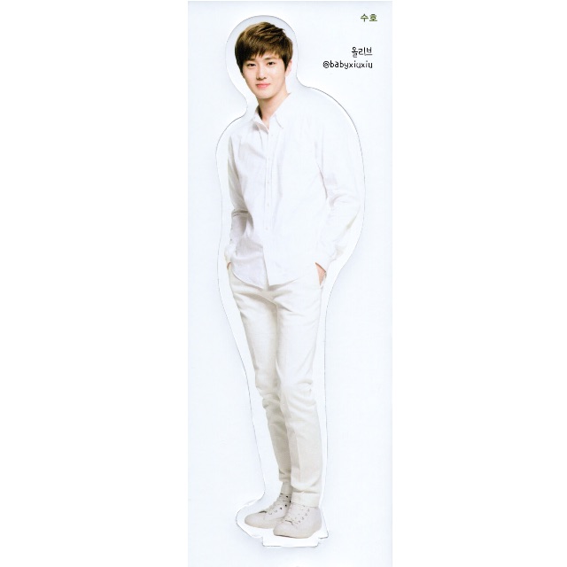EXO Standees, Hobbies & Toys, Memorabilia & Collectibles, K-Wave on ...