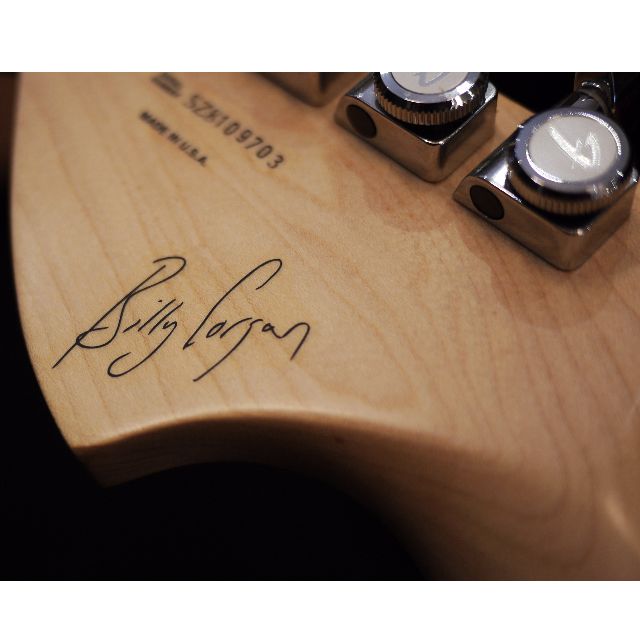 Billy Corgan Signature Fender Stratocaster USA, Hobbies & Toys, Music ...