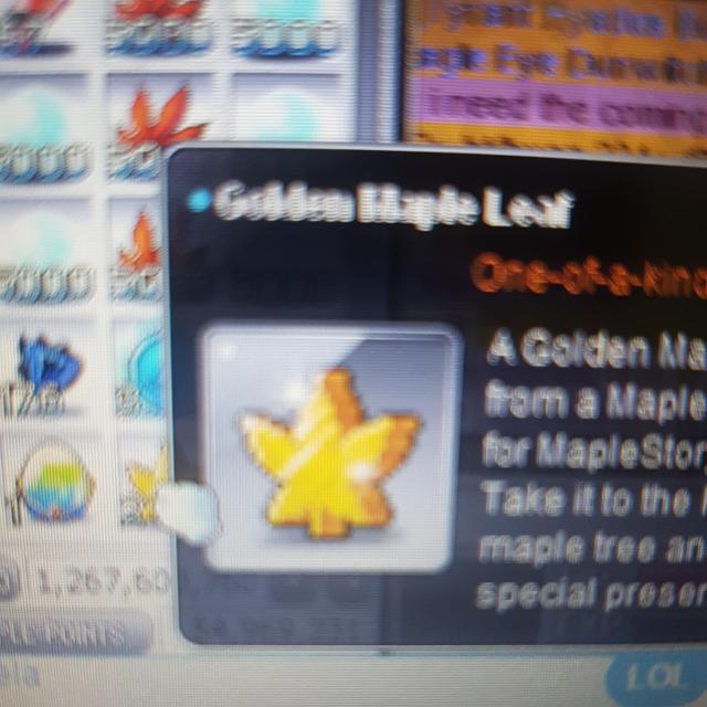 Ellinia Gml, Video Gaming, Video Game Consoles, Others on Carousell