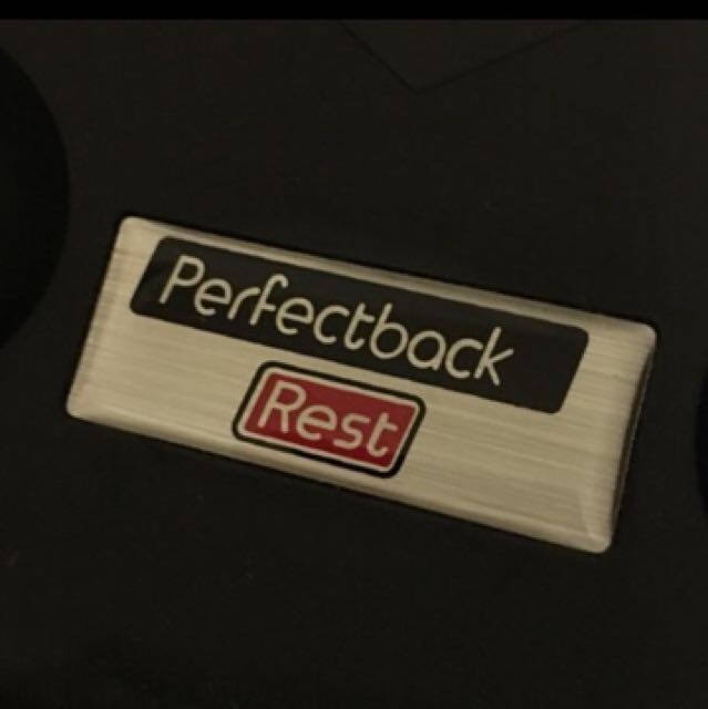 PerfectBack Rest By Dr. Ho, Sports Equipment, Sports & Games, Water ...