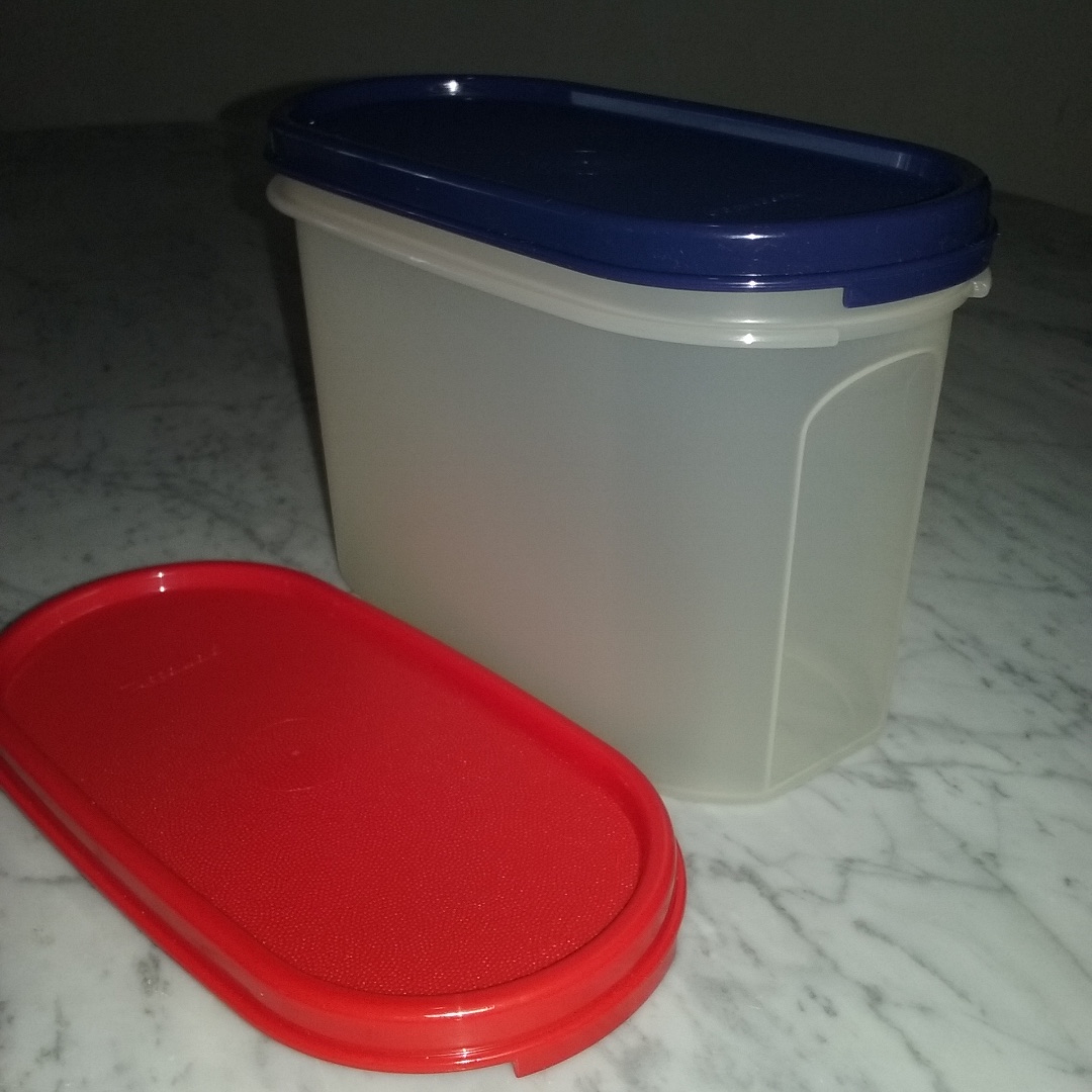 Tupperware Modular Mates Oval Storage, TV & Home Appliances, Kitchen ...
