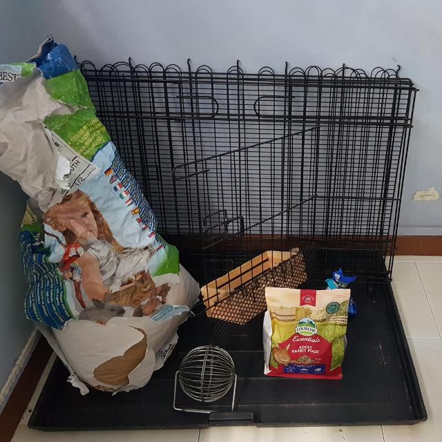rabbits accessories, Pet Supplies, Pet Food on Carousell