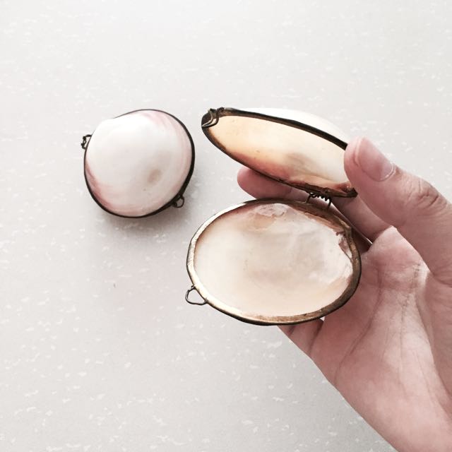 Shell Purses, Women's Fashion, Bags & Wallets, Purses & Pouches on ...