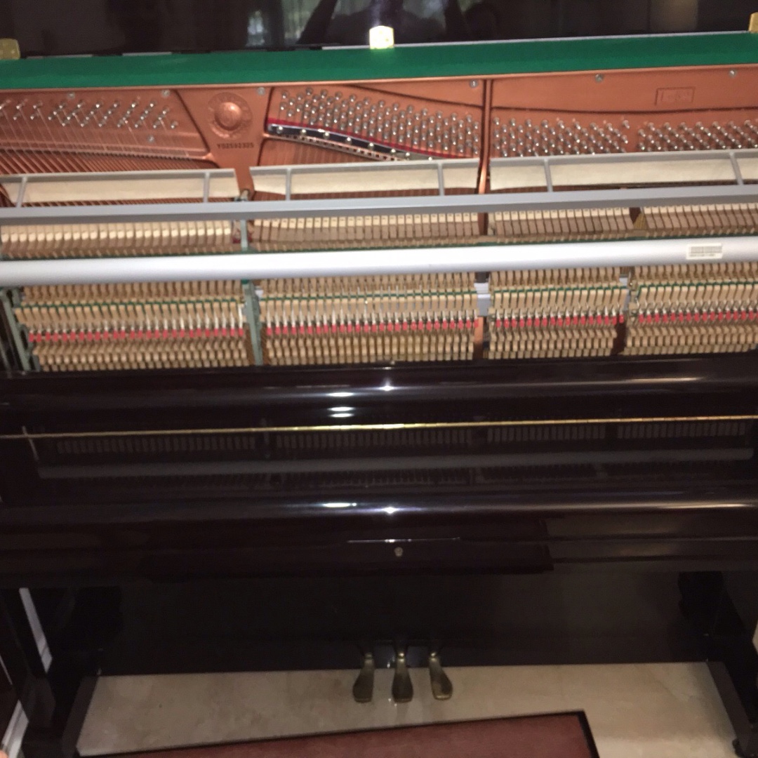 Weinberg L52 Piano (Germany), Hobbies & Toys, Music & Media, Musical ...