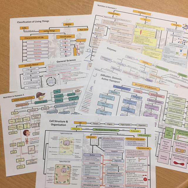 RI SEC 1 SCIENCE NOTES, Books & Stationery, Textbooks on Carousell