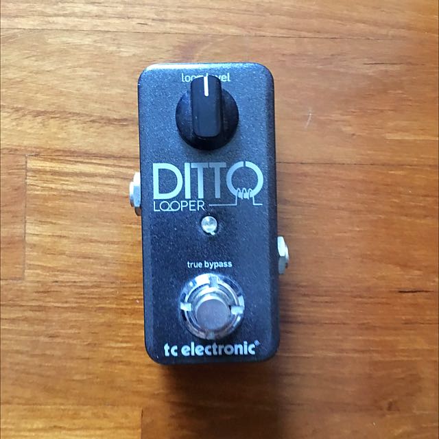 Ditto Looper, Hobbies & Toys, Music & Media, Musical Instruments on ...
