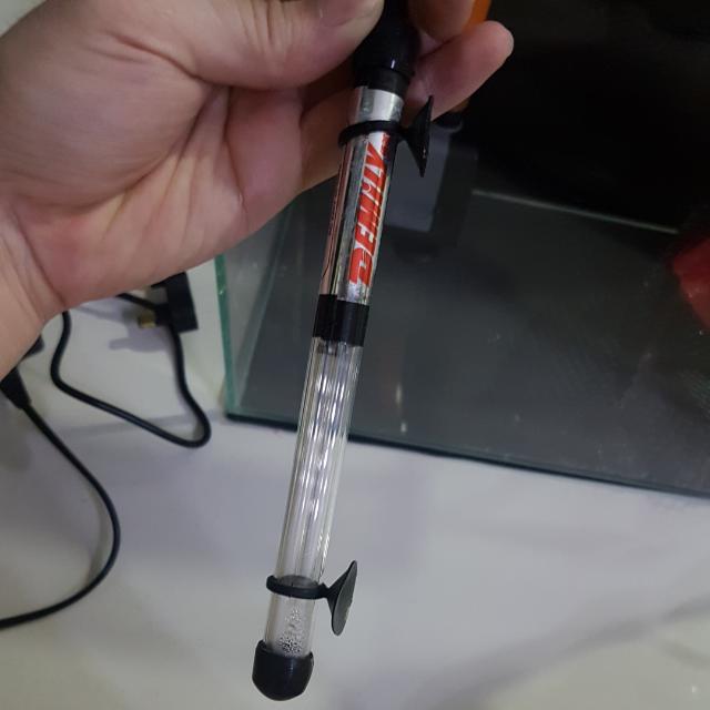 Fish Tank + Back Sump, Pet Supplies, Homes & Other Pet Accessories on ...