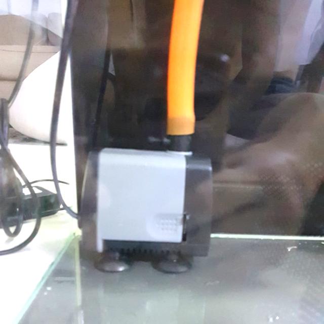 Fish Tank + Back Sump, Pet Supplies, Homes & Other Pet Accessories on ...