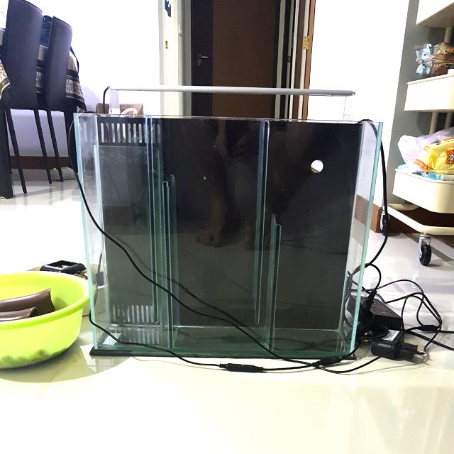 Fish Tank + Back Sump, Pet Supplies, Homes & Other Pet Accessories on ...