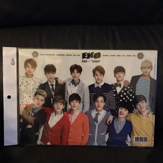 韓國週邊 EXO A4 File, 興趣及遊戲, 收藏品及紀念品, 韓流 - Carousell