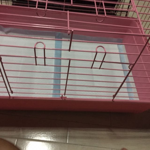 Collapsible Pink Cage, Pet Supplies, Homes & Other Pet Accessories on ...