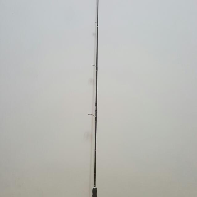 Seahawk Carbon Scorpion Rod, Everything Else on Carousell