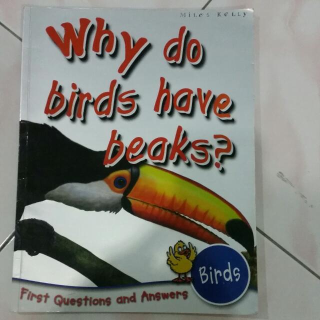 Why Do Birds Have Beaks #children, Hobbies & Toys, Books & Magazines ...