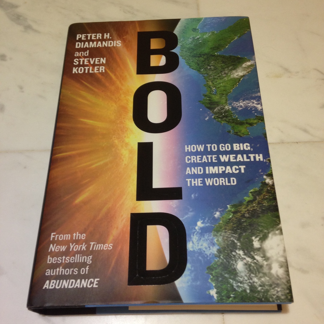 Bold: How to Go Big, Create Wealth and Impact the World by Peter ...