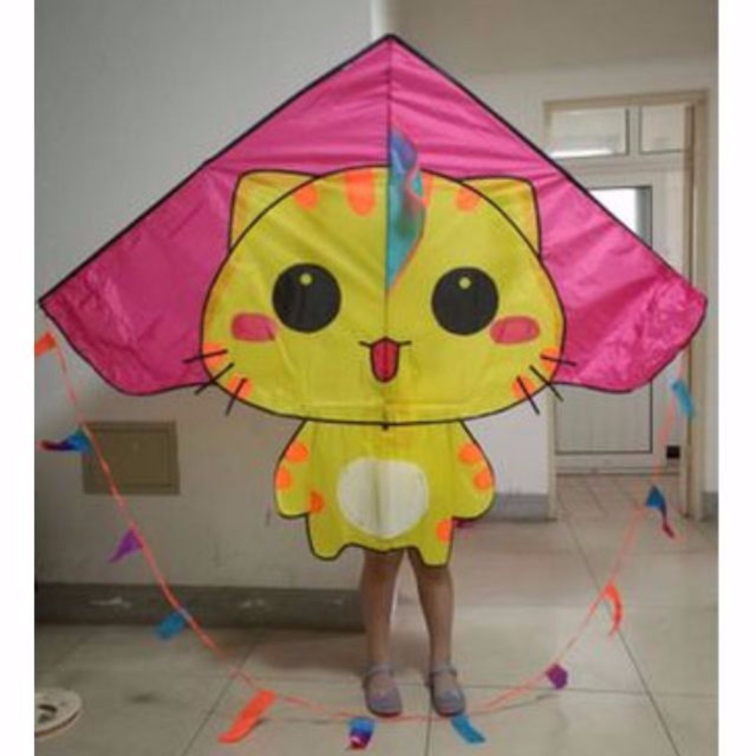 Pink Cat Kite, Hobbies & Toys, Toys & Games on Carousell