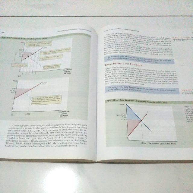 EC1301 EC1101 Principles & Applications Of Economics 5th Edition, Hobbies & Toys, Books ...
